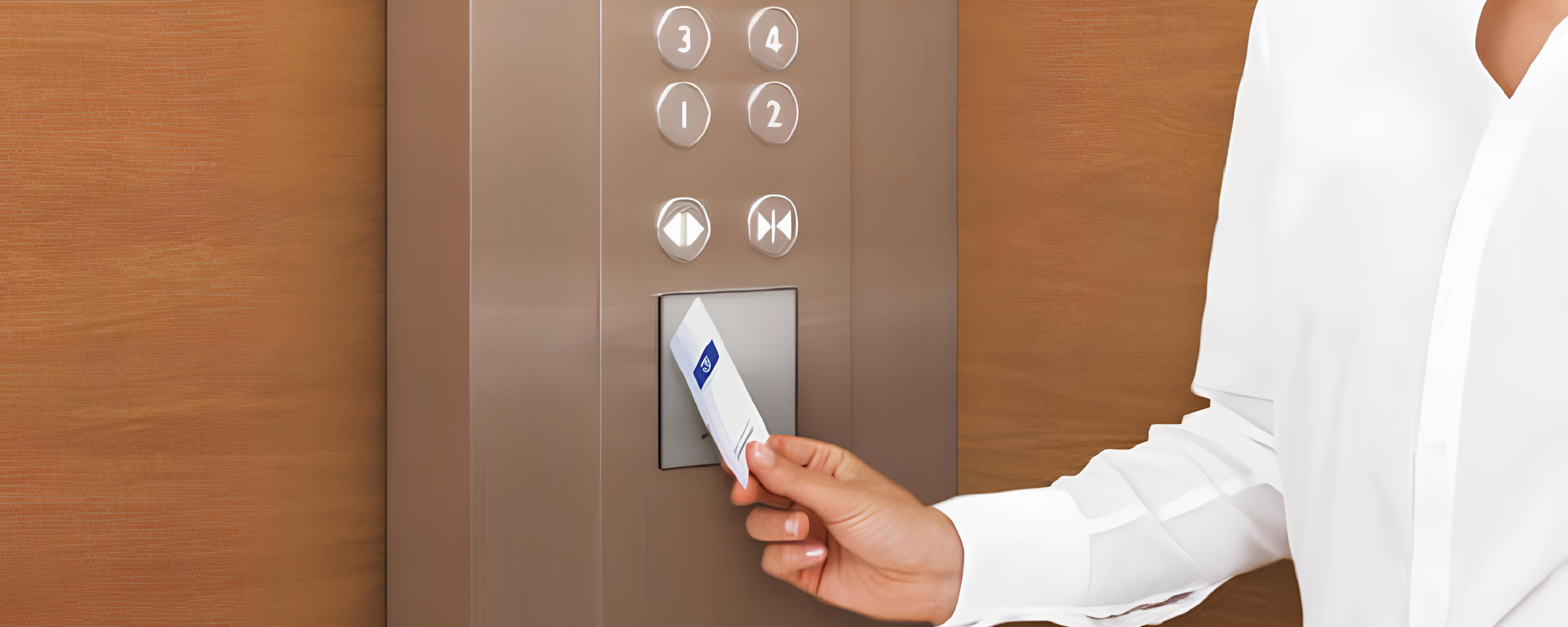 International Elevator & Equipment, Inc. (IEE)