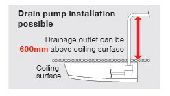 International Elevator & Equipment, Inc. (IEE)